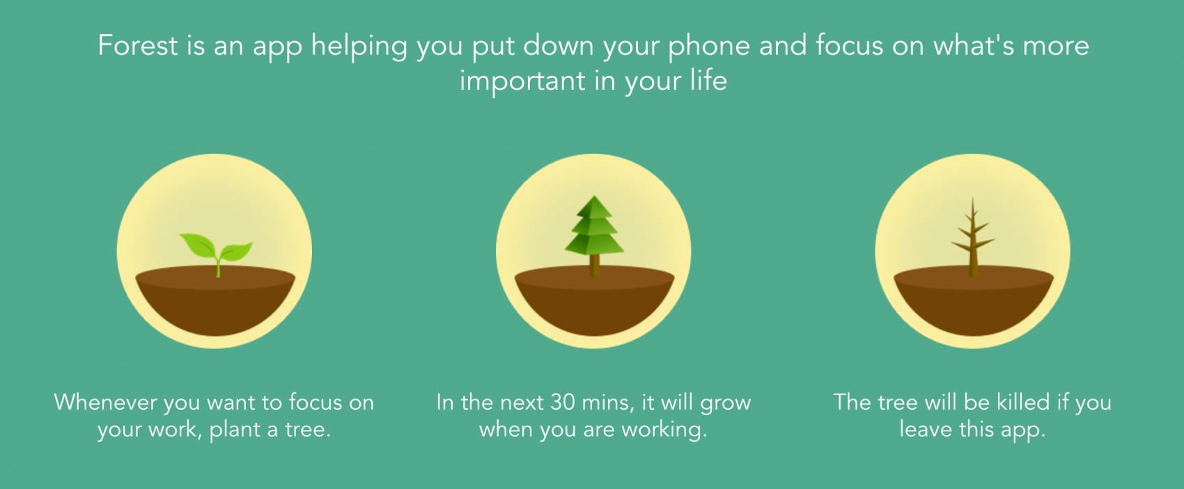 Forest Is The Best Productivity App I Ve Ever Used You Should Try It