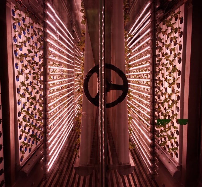 AgriCool Got $4.3M To Build Organic Farms In Shipping Containers