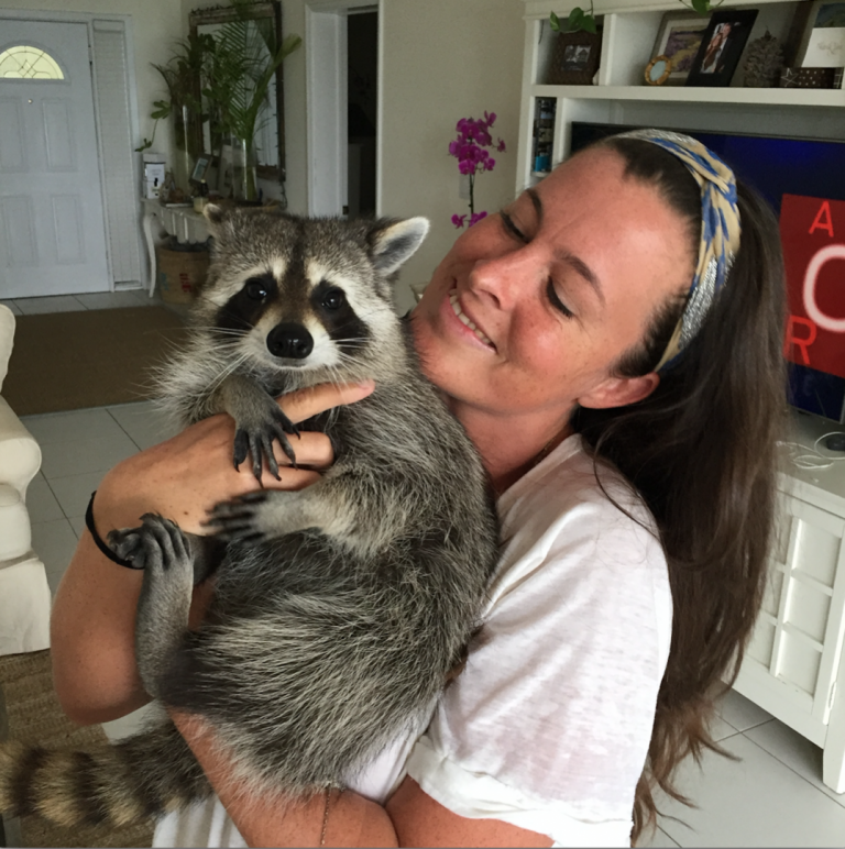 The Story Behind Pumpkin, The Instagram Celebrity Raccoon | SnapMunk